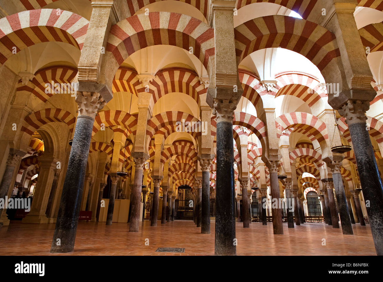 Column courtyard of the mosque cathedral cordoba andalusia spain ...