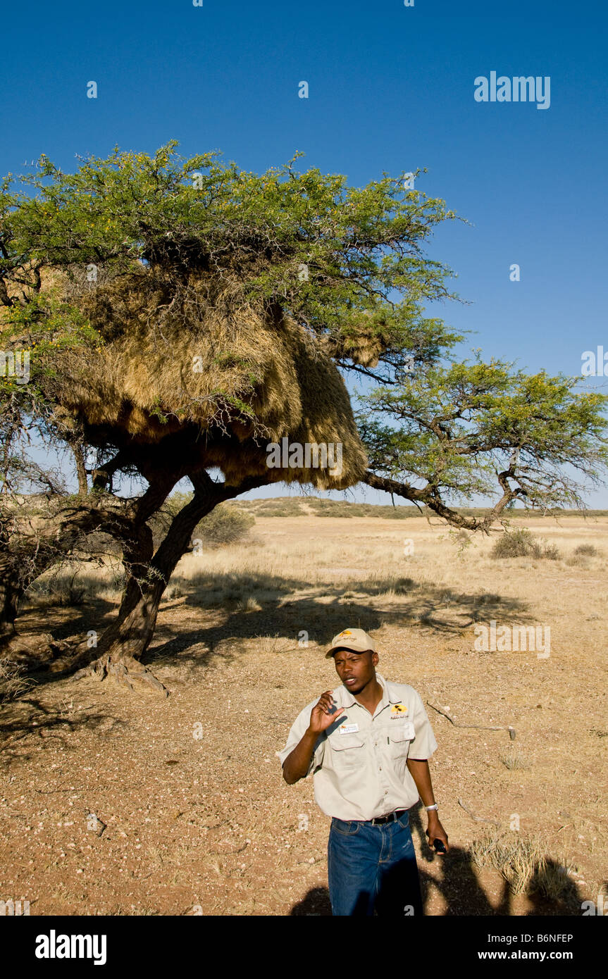 Kalahari red dunes lodge hi-res stock photography and images - Alamy