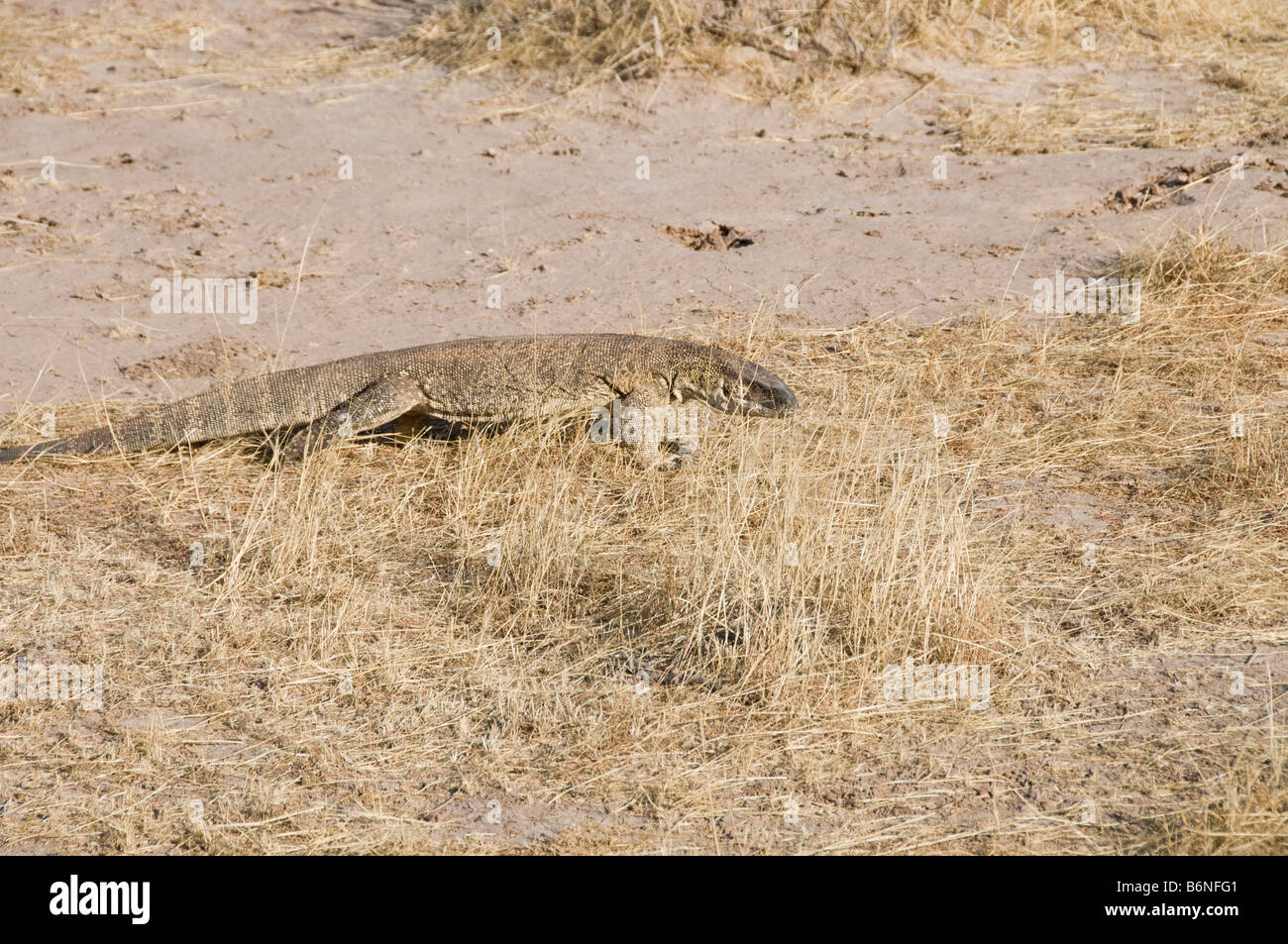 Kalahari red dunes lodge hi-res stock photography and images - Alamy