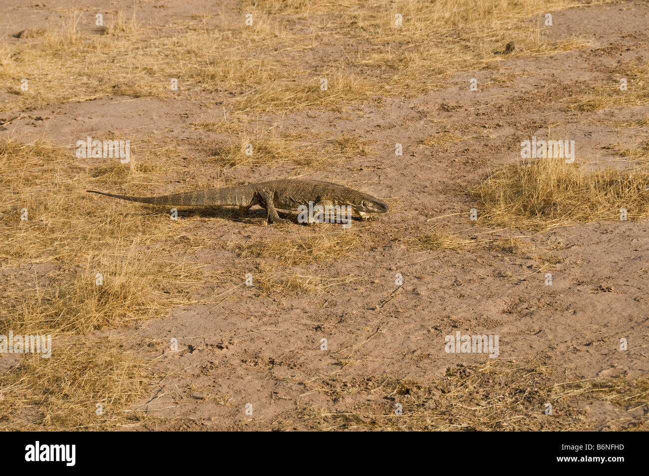 Kalahari red dunes lodge hi-res stock photography and images - Alamy