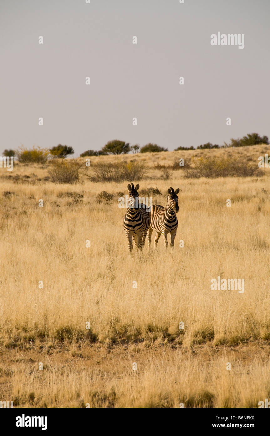 Mariental,Southern Kalahari, Namibia, SW Africa Stock Photo - Alamy