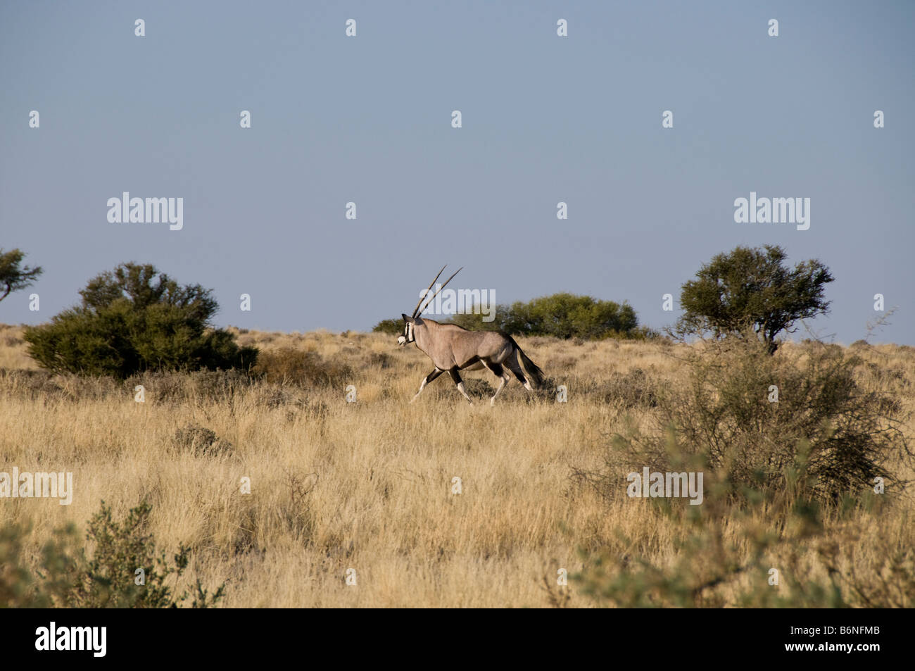 Mariental,Southern Kalahari, Namibia, SW Africa Stock Photo - Alamy
