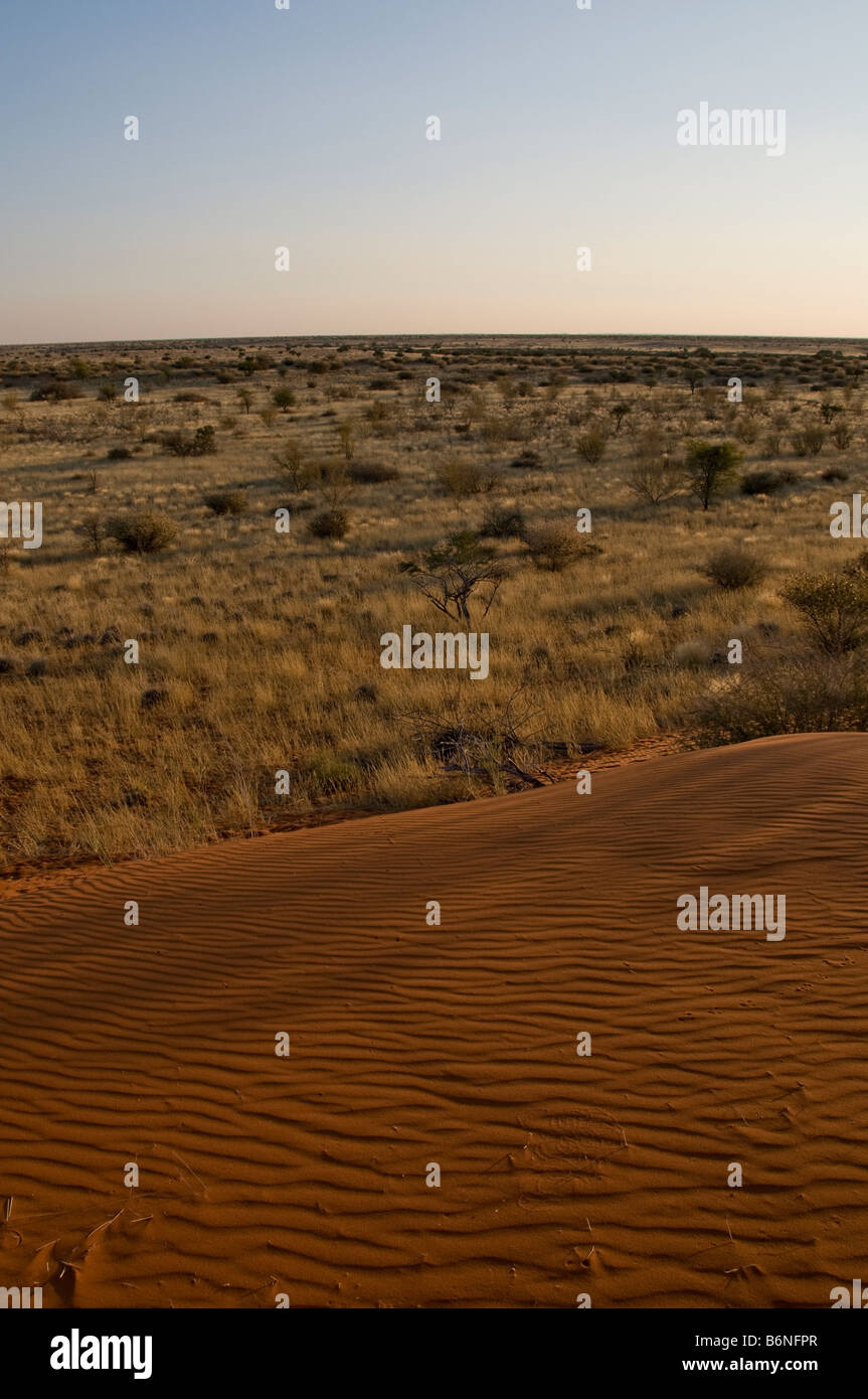 Kalahari red dunes lodge hi-res stock photography and images - Alamy