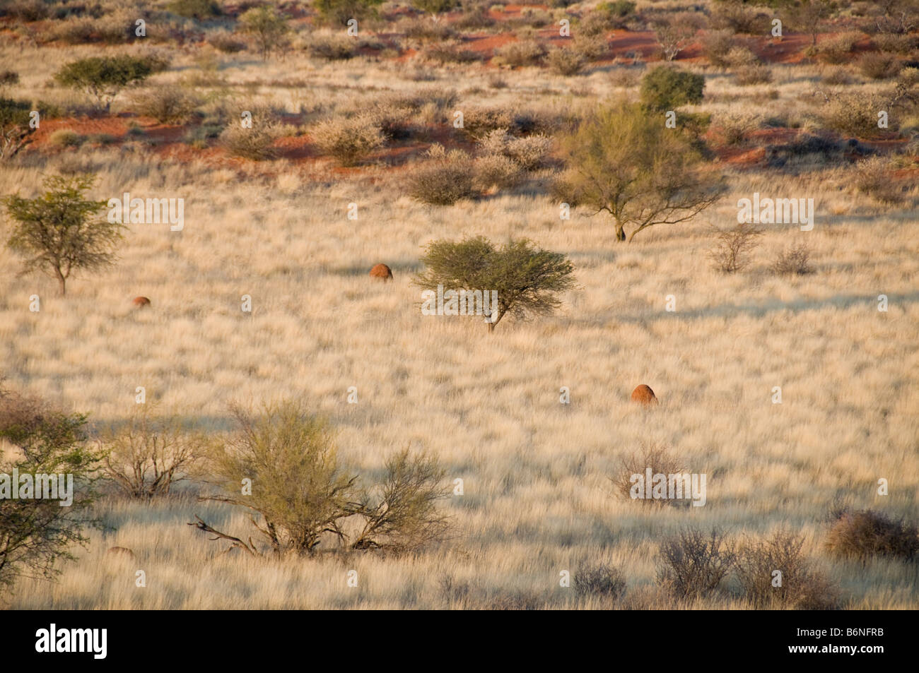 Mariental,Southern Kalahari, Namibia, SW Africa Stock Photo - Alamy