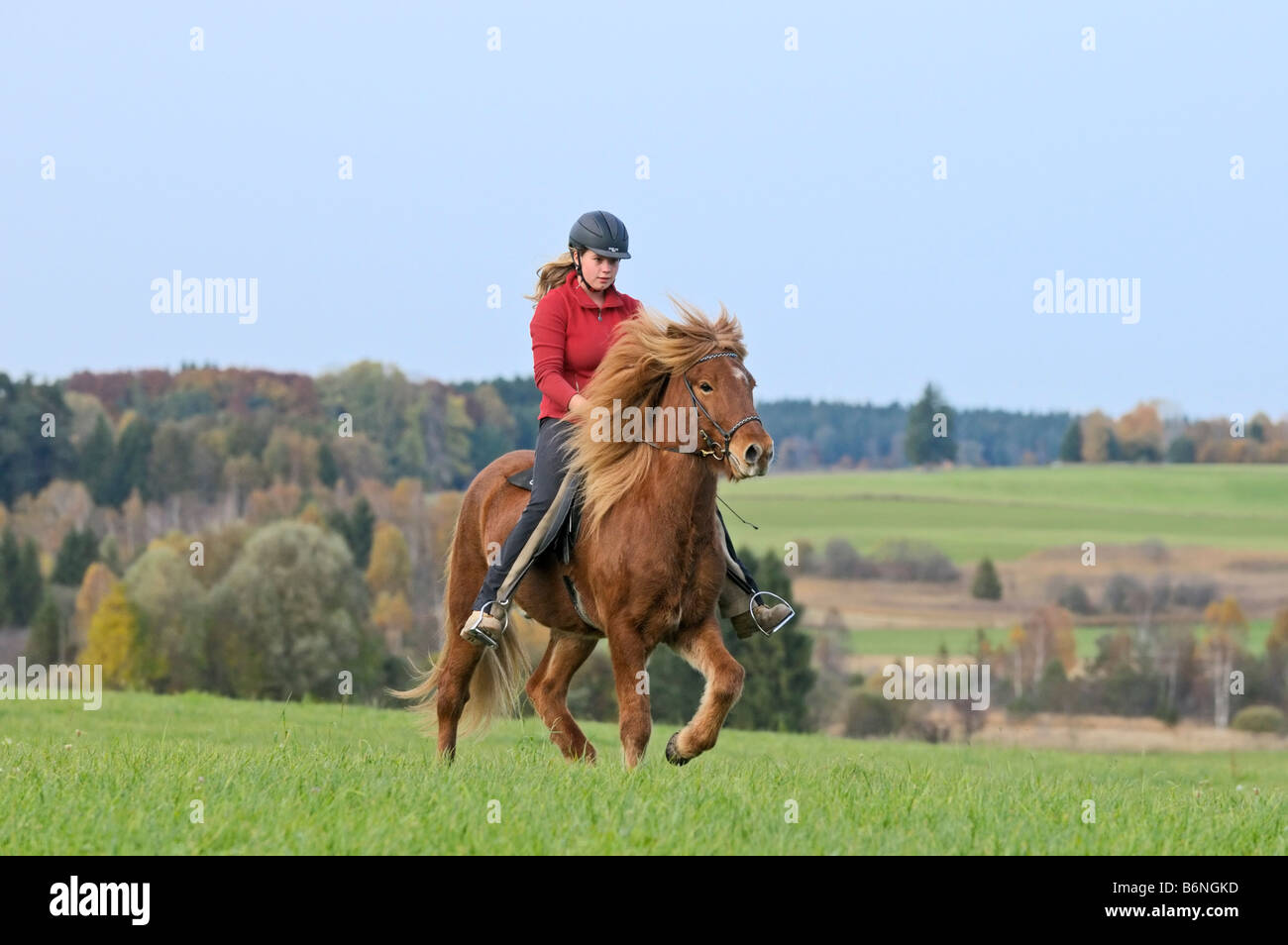 Tolt High Resolution Stock Photography and Images - Alamy