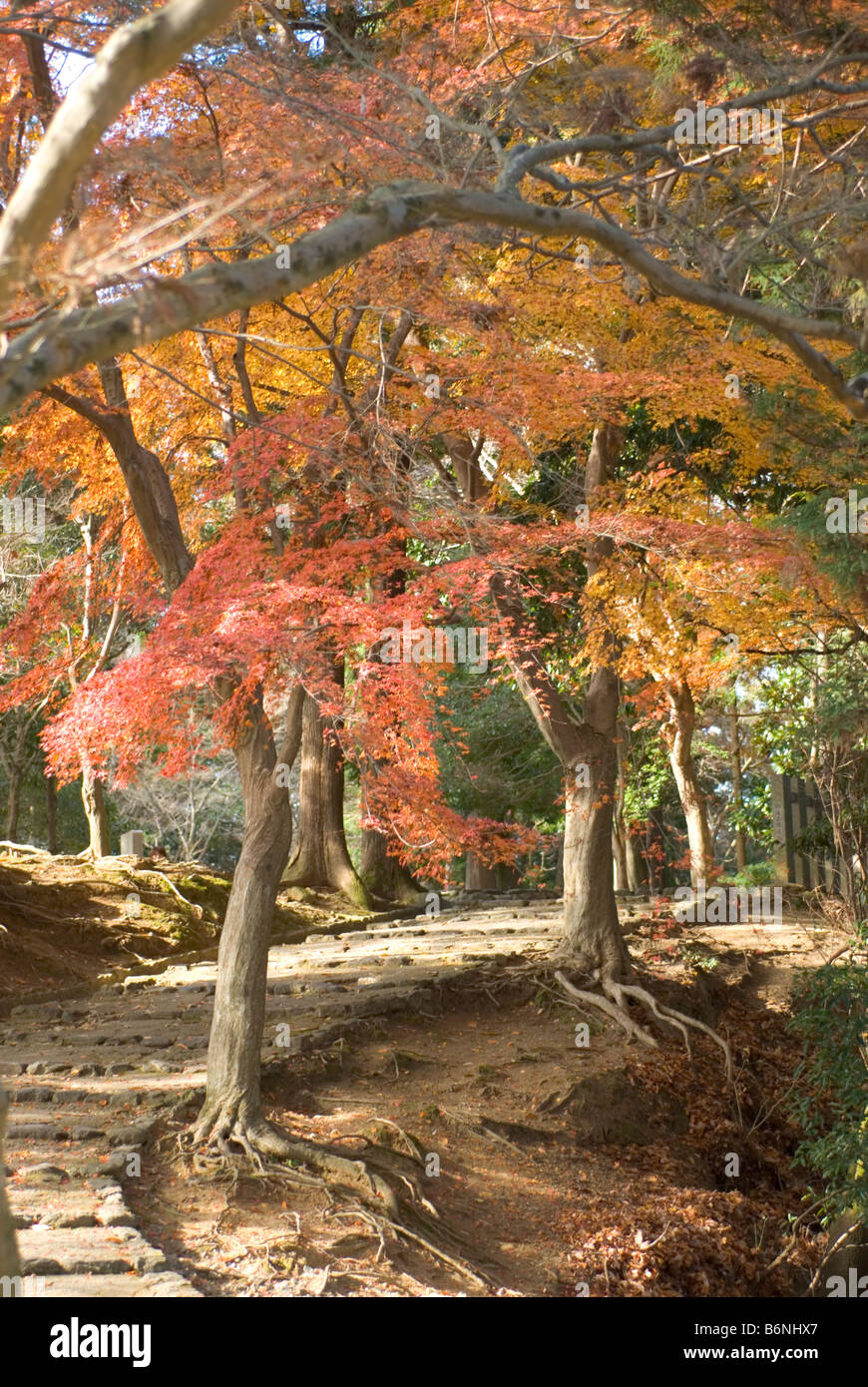 Japan scene red hi-res stock photography and images - Alamy