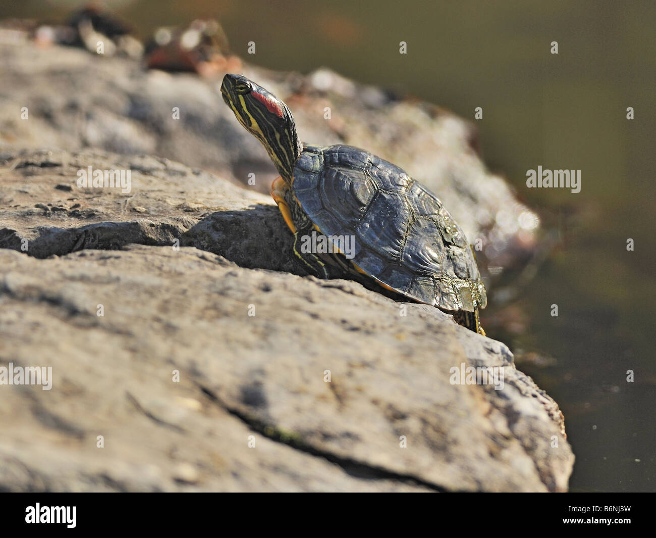 Rock slider hi-res stock photography and images - Alamy