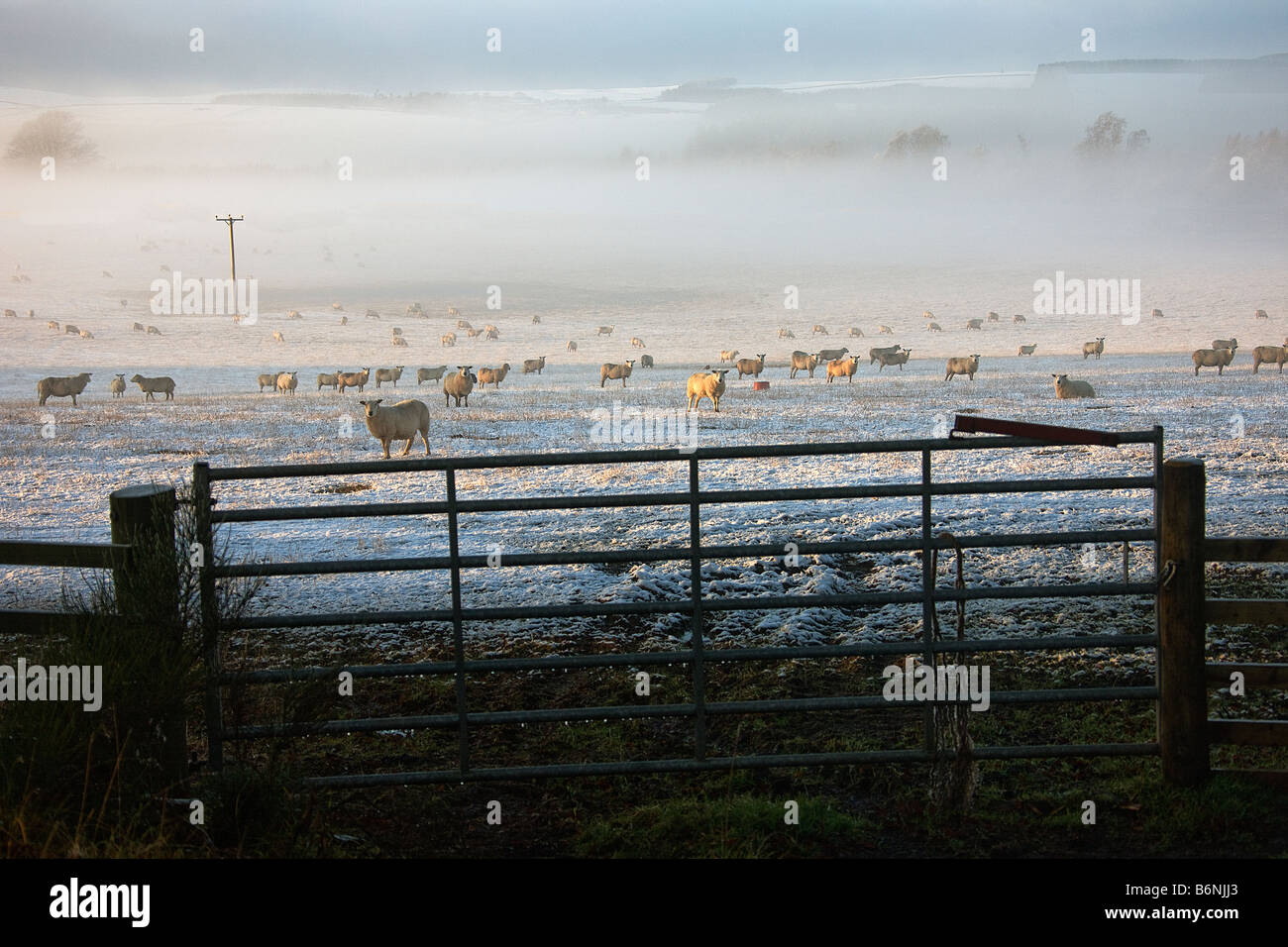 The borders winter scene in the scottish borders tourism hi-res stock ...