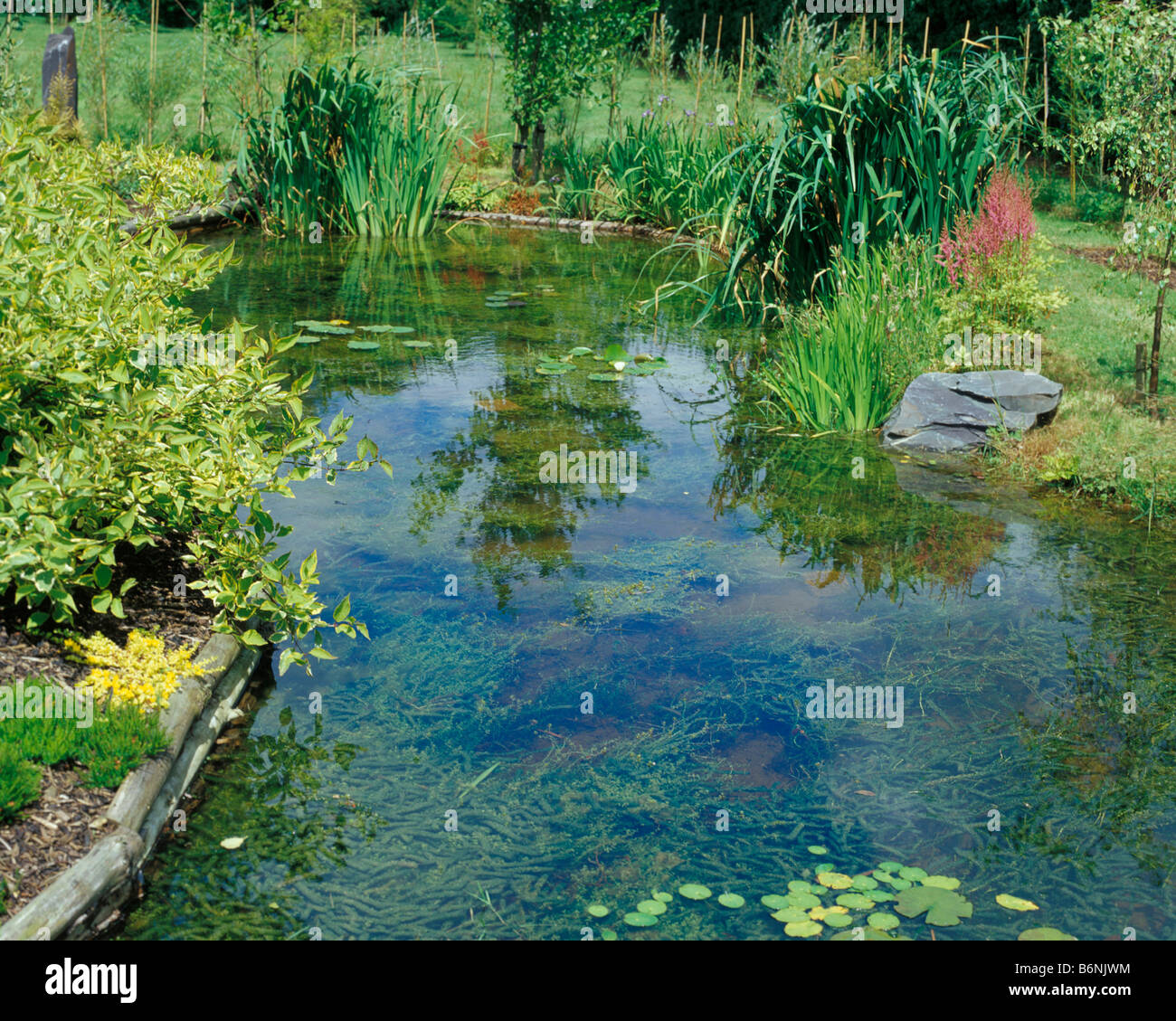 JAPANESE GARDEN POOL IN SUMMER Stock Photo - Alamy