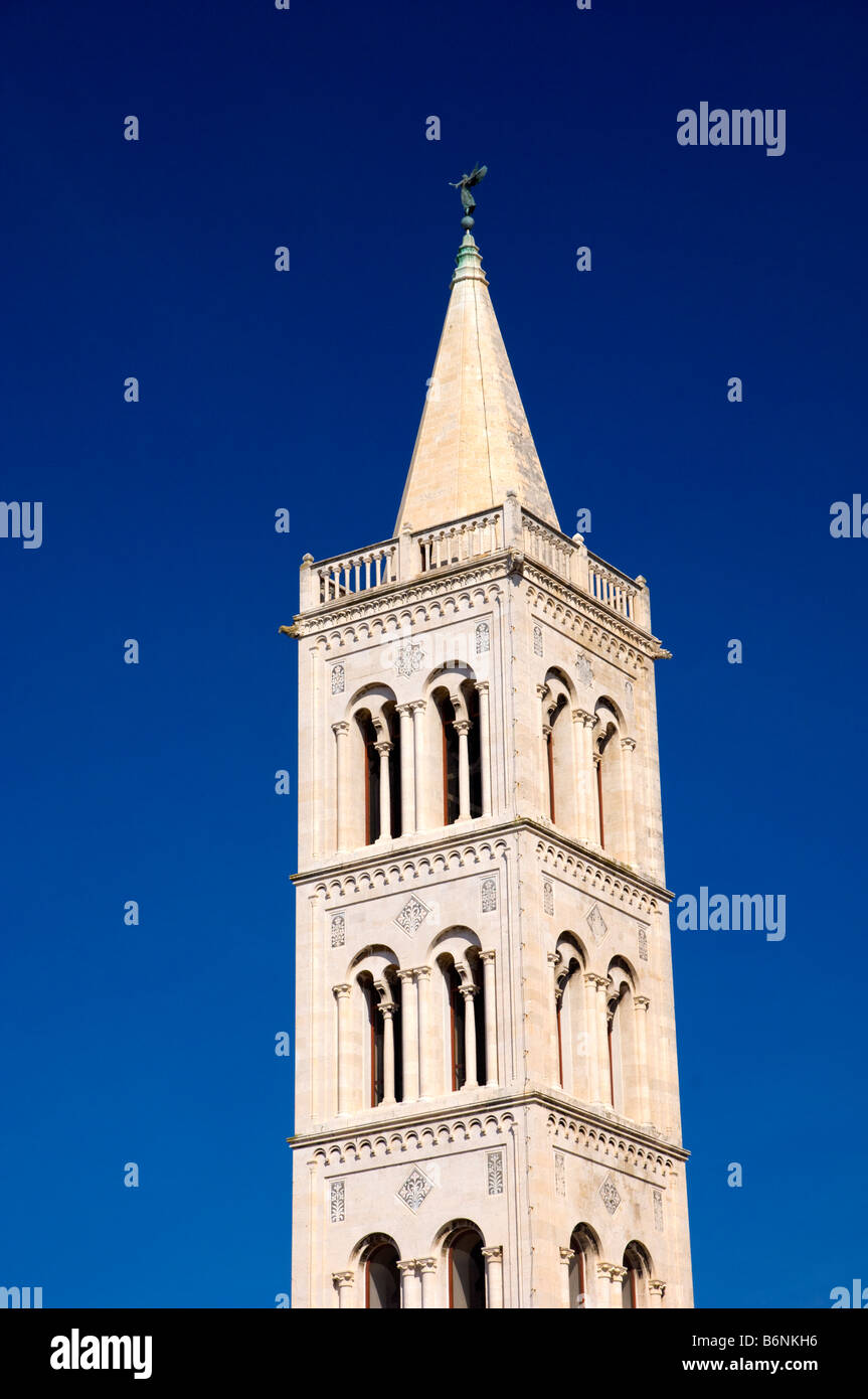 The St Anastasia s Cathedral bell tower in Zadar Croatia Stock Photo ...