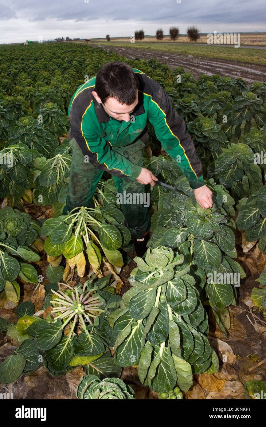 Container plantings hi-res stock photography and images - Alamy