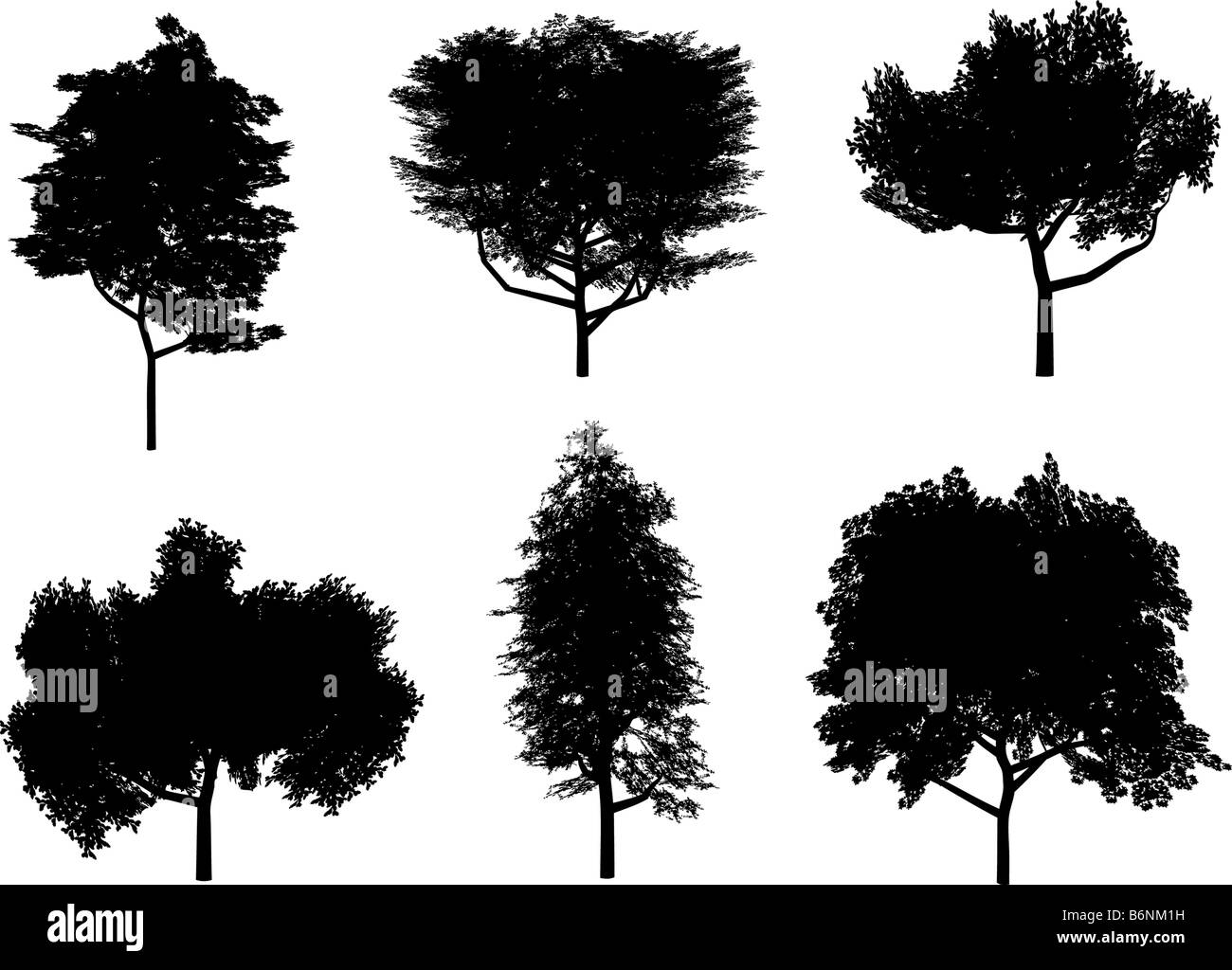Tree as silhouette hi-res stock photography and images - Alamy