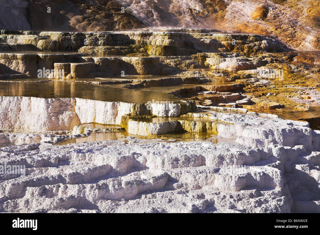 Multi colour calcareous terraces with hot springs in Yellowstone ...