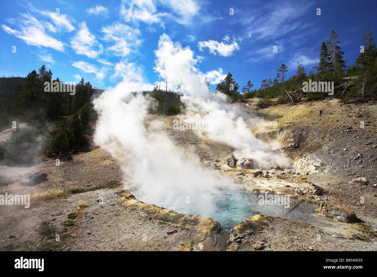 Boiling geothermal geyser in Yellowstone Park Stock Photo - Alamy