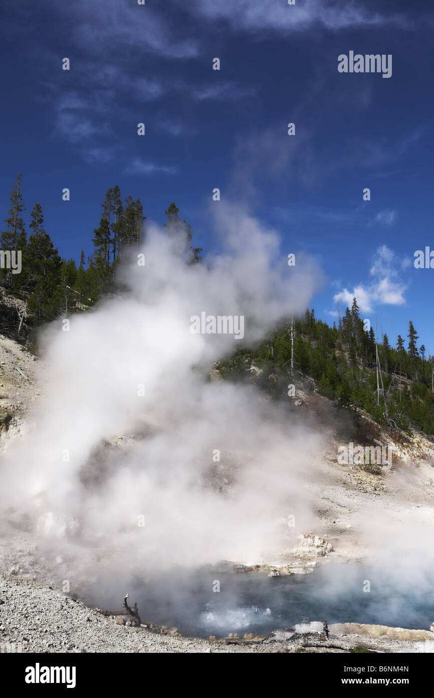 Boiling geothermal geyser in Yellowstone Park Stock Photo - Alamy