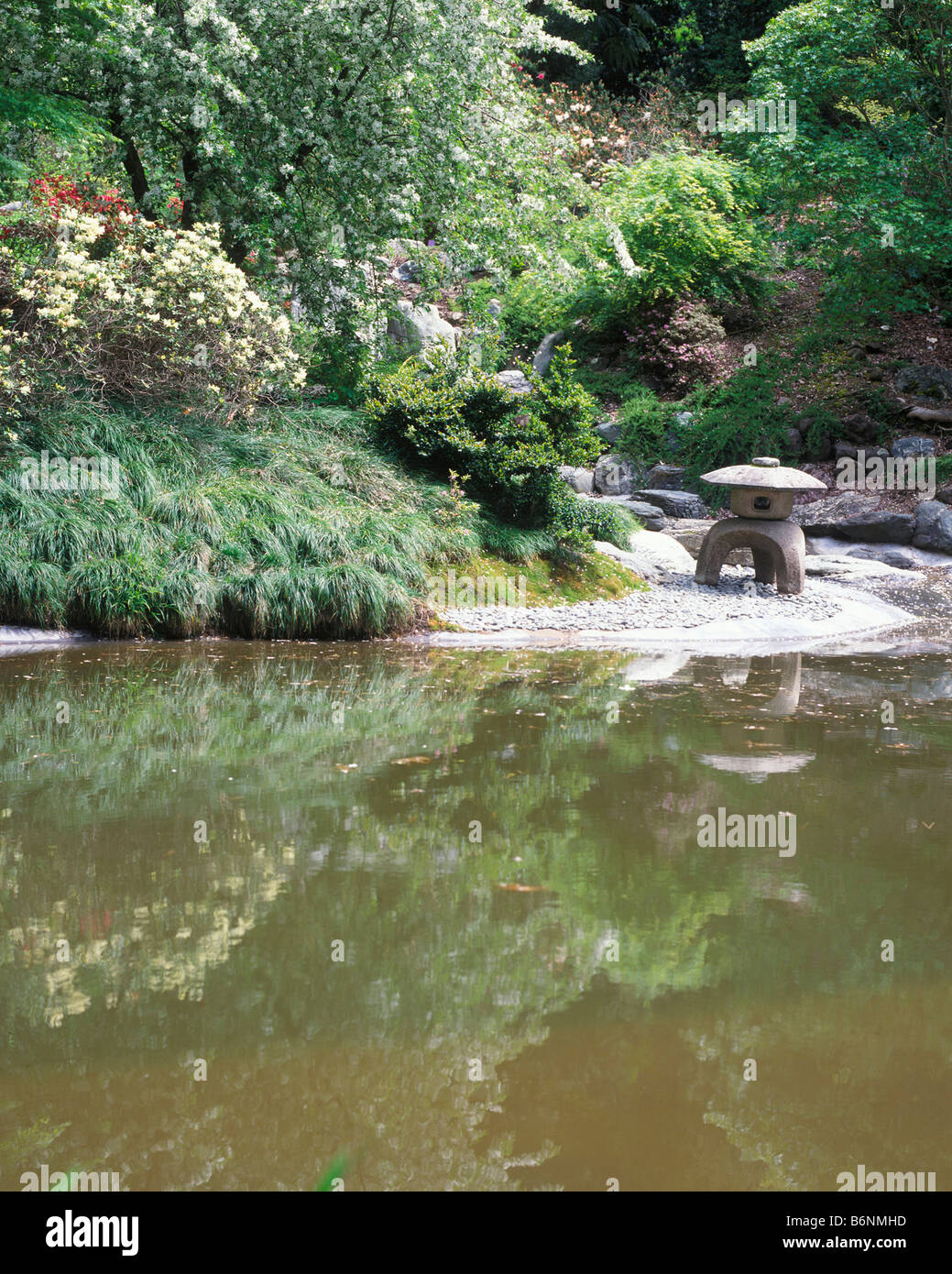 A TRADITIONAL JAPANESE POND Stock Photo - Alamy