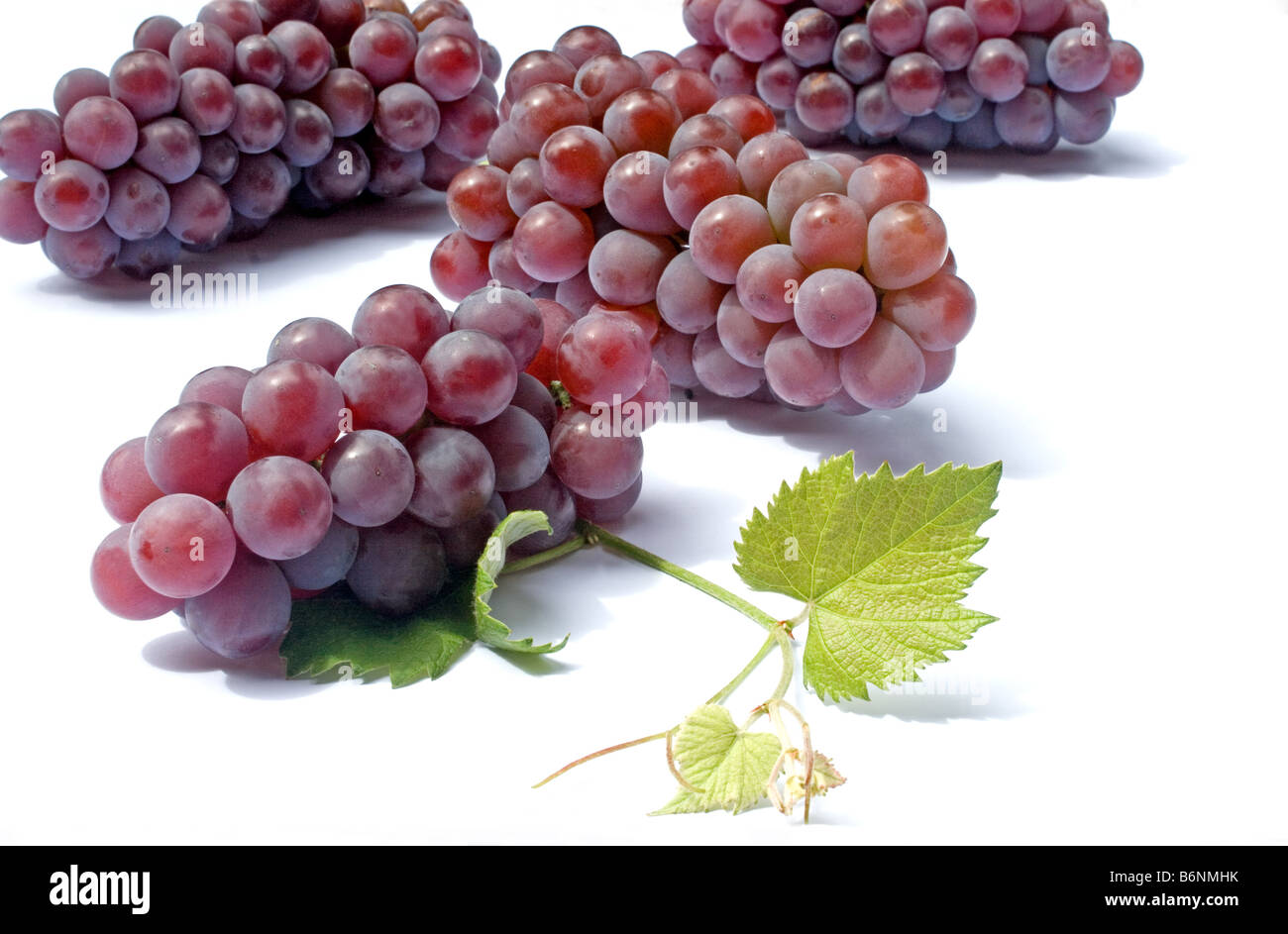 Red grapes on white background Stock Photo - Alamy