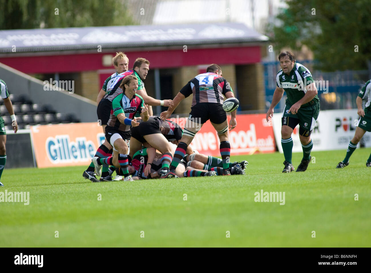 The stoop harlequin hi-res stock photography and images - Alamy