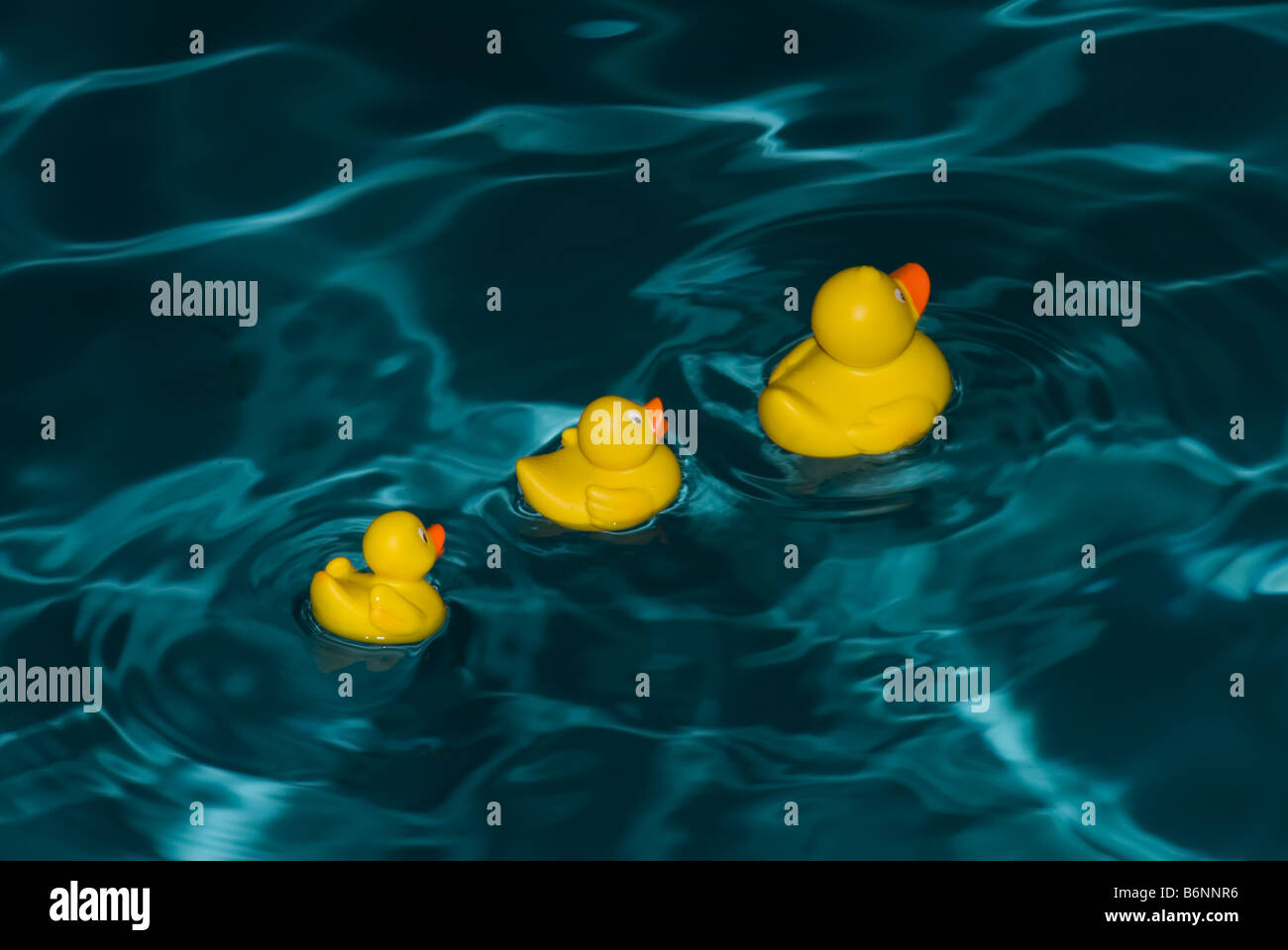 Rubber ducks in pond hi-res stock photography and images - Alamy