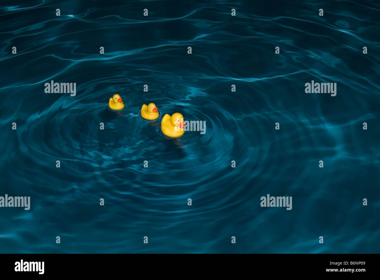rubber ducks in deep water Stock Photo - Alamy