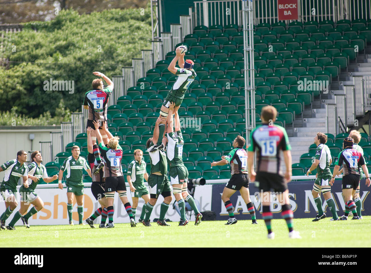 The stoop harlequin hi-res stock photography and images - Alamy
