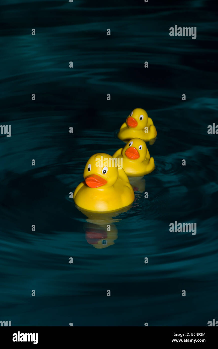 rubber ducks in deep water Stock Photo - Alamy