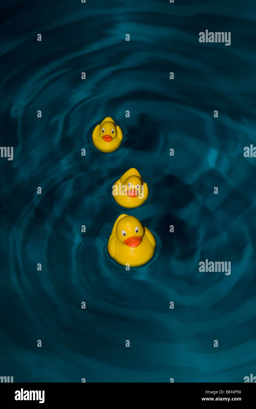 rubber ducks in deep water Stock Photo - Alamy