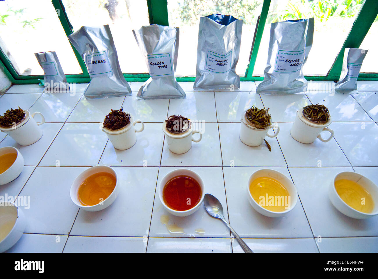 Tea tasting hi-res stock photography and images - Alamy