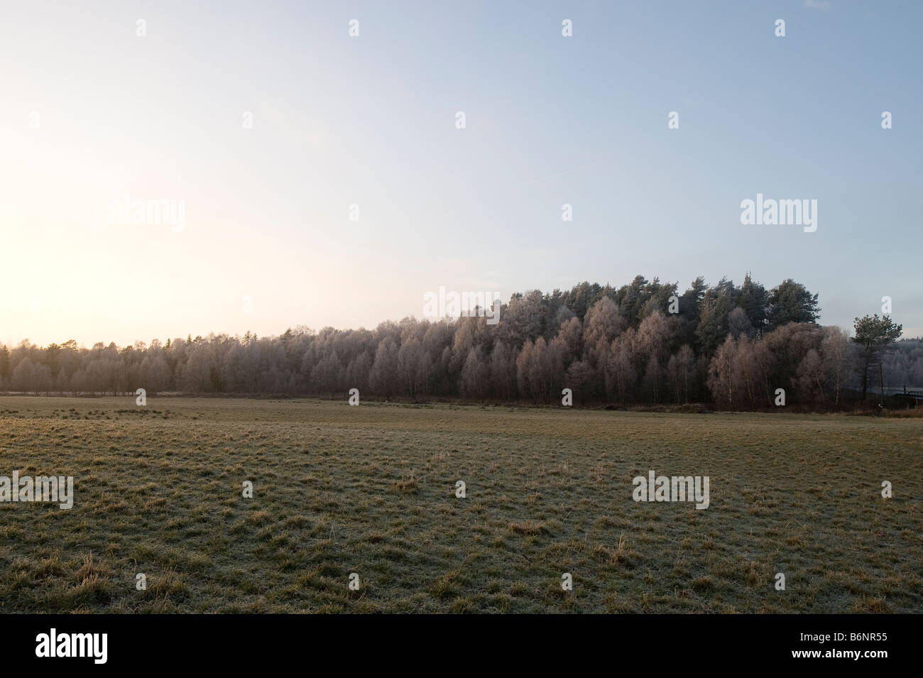 Landscape southern Sweden Stock Photo - Alamy