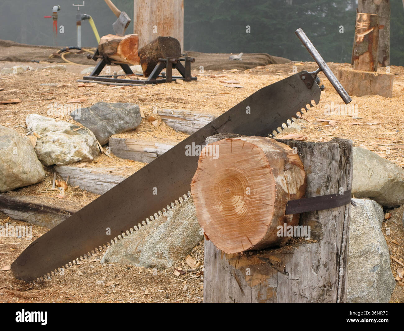 Logging show hi-res stock photography and images - Alamy