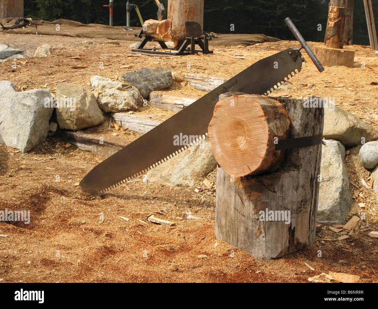 Mountain logging hi-res stock photography and images - Alamy
