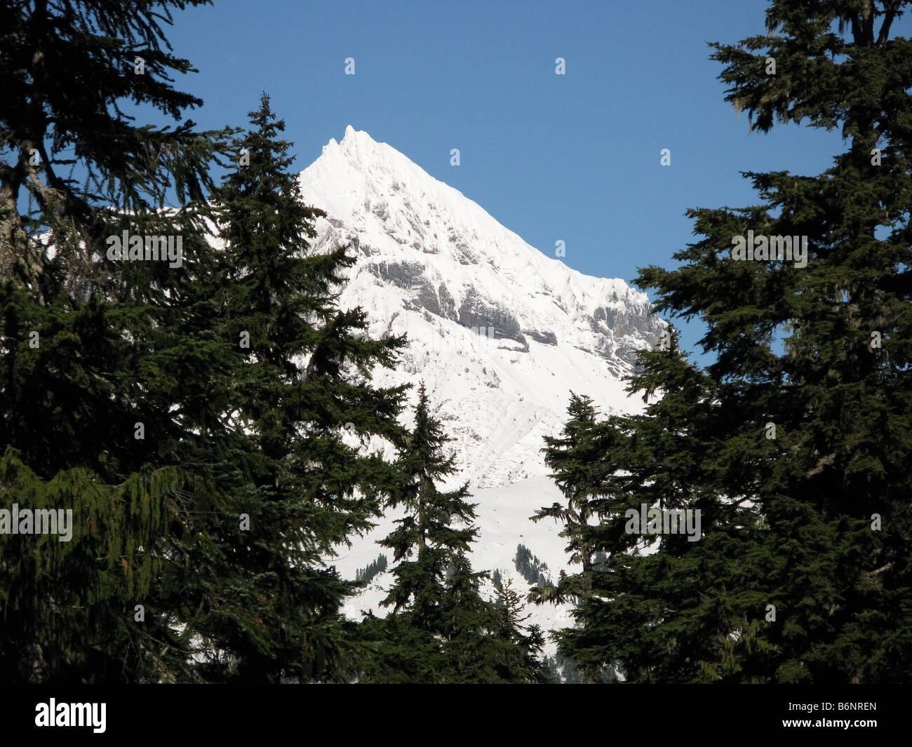 Garibaldi Provincial Park BC Canada Stock Photo - Alamy