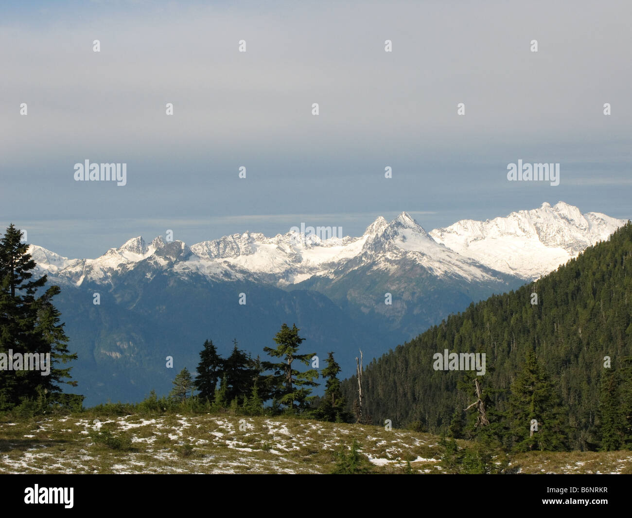 Garibaldi Provincial Park BC Canada Stock Photo - Alamy
