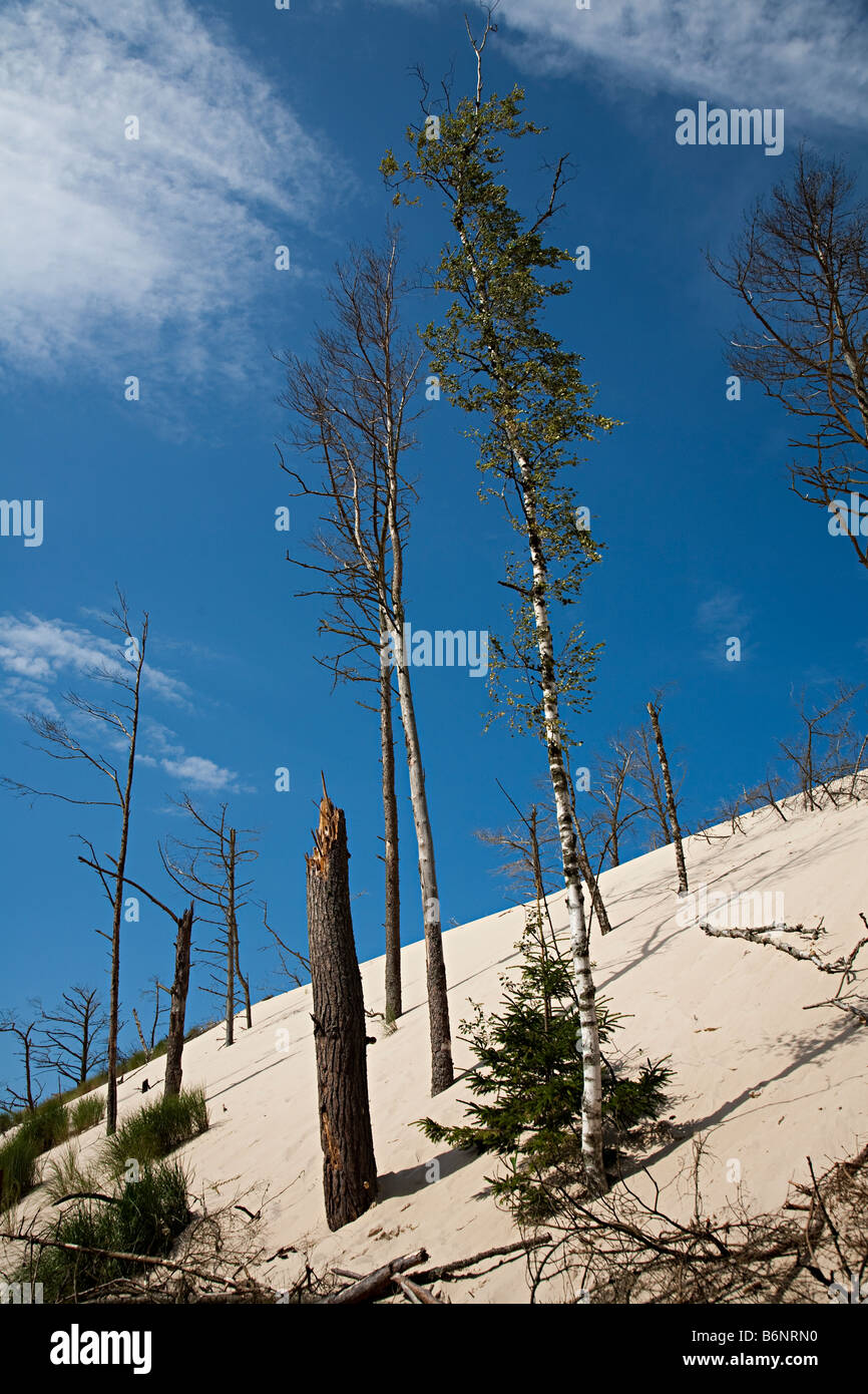 Lacka Gora dunes moving over forested area Slowinski national park Leba ...
