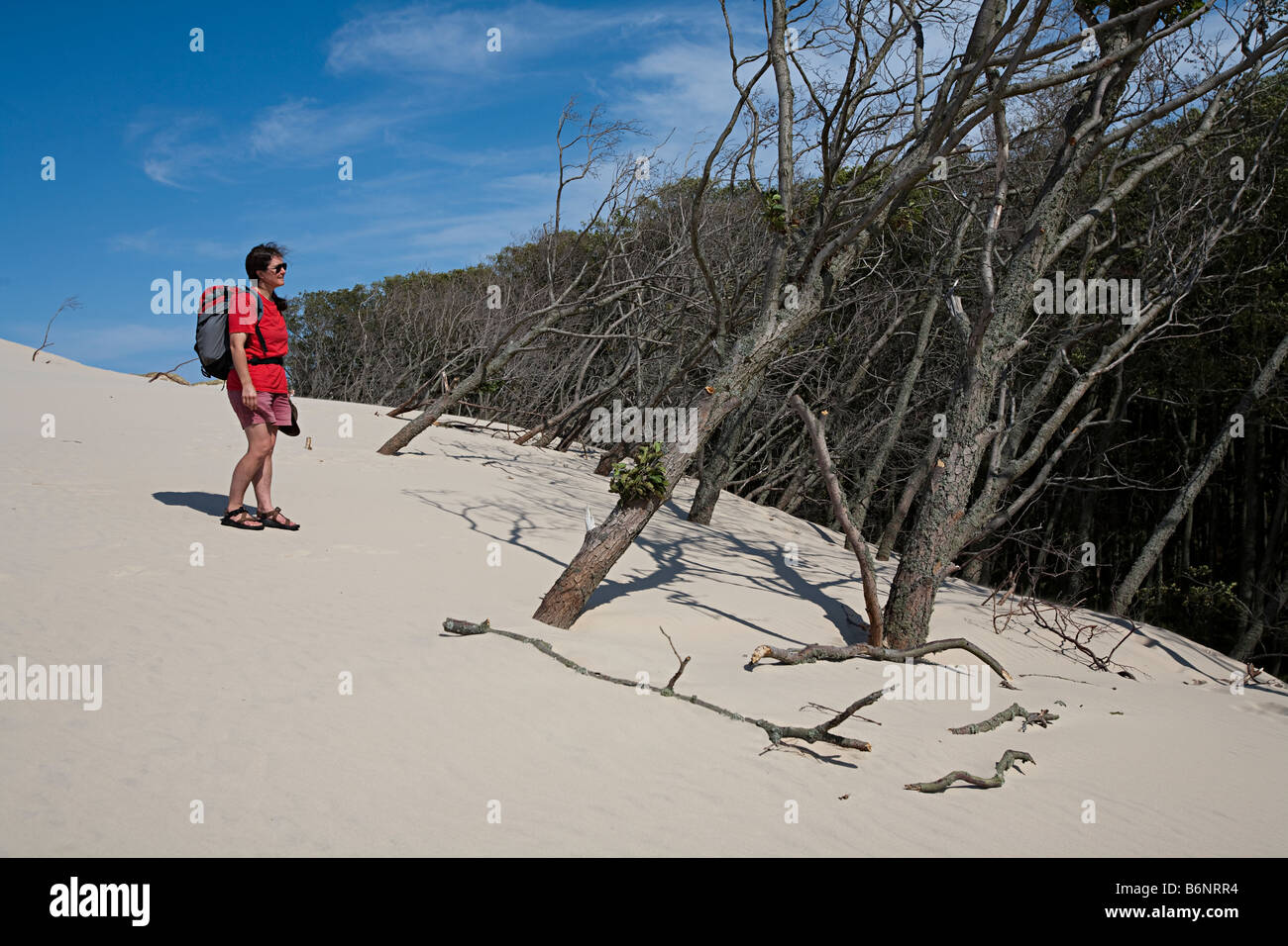 Dead woman sand hi-res stock photography and images - Alamy