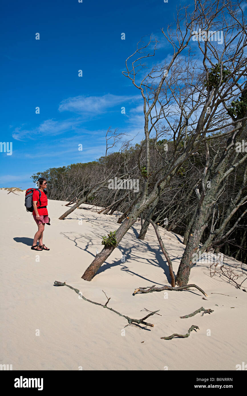 Dead woman sand hi-res stock photography and images - Alamy