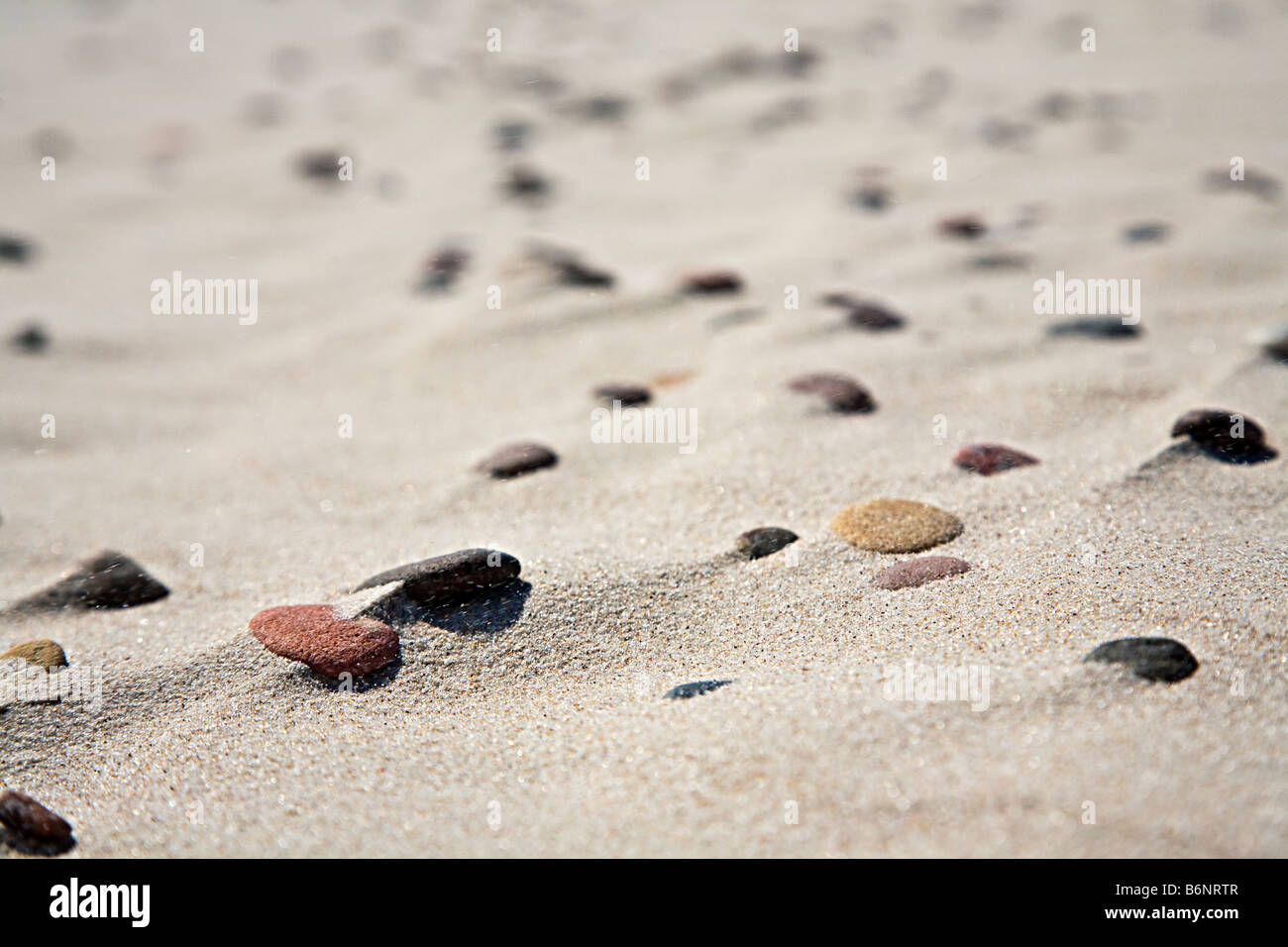 Pebbles on beach with wind blown sand Slowinski national park Poland ...