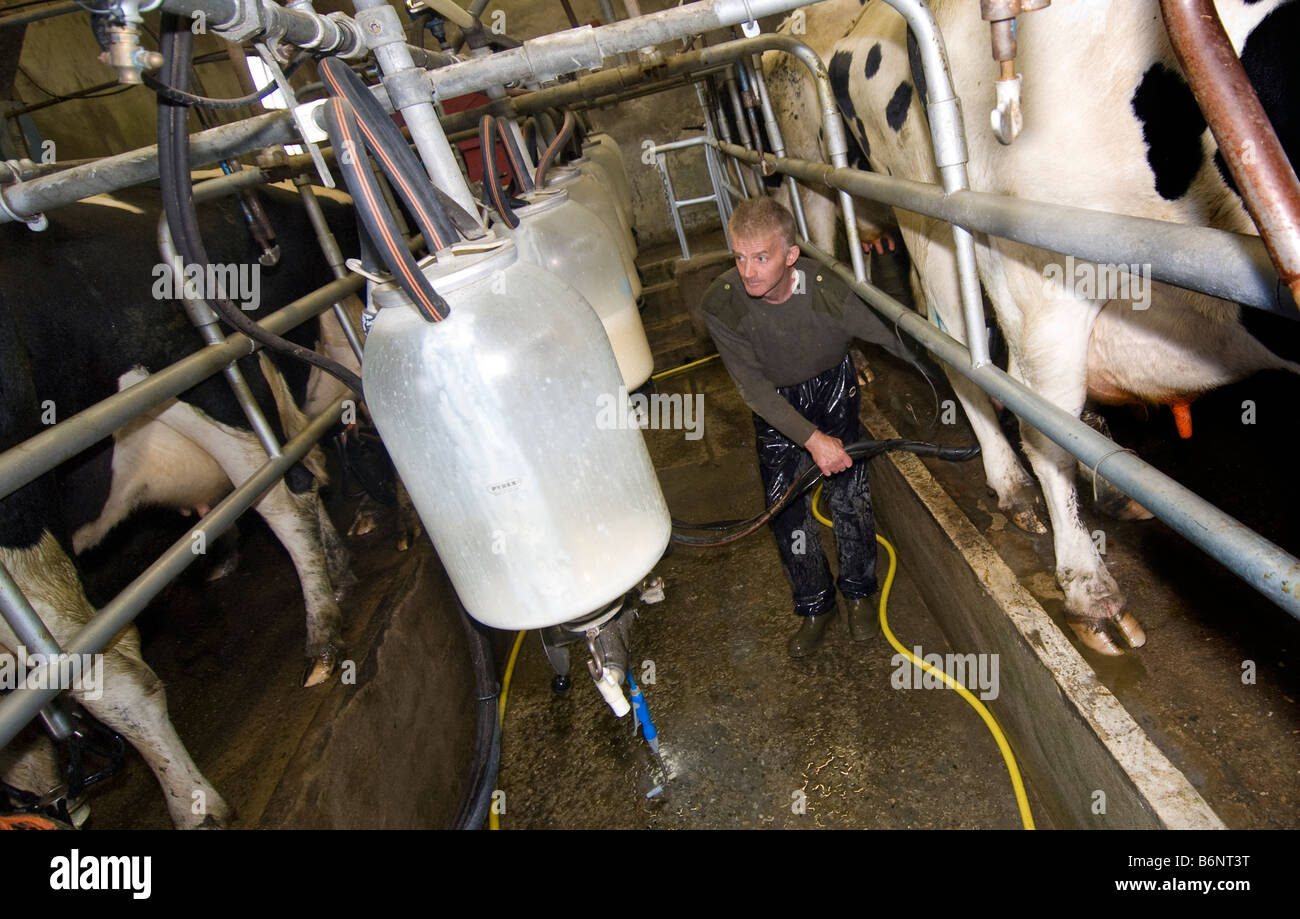 Farmer milking cow hi-res stock photography and images - Alamy