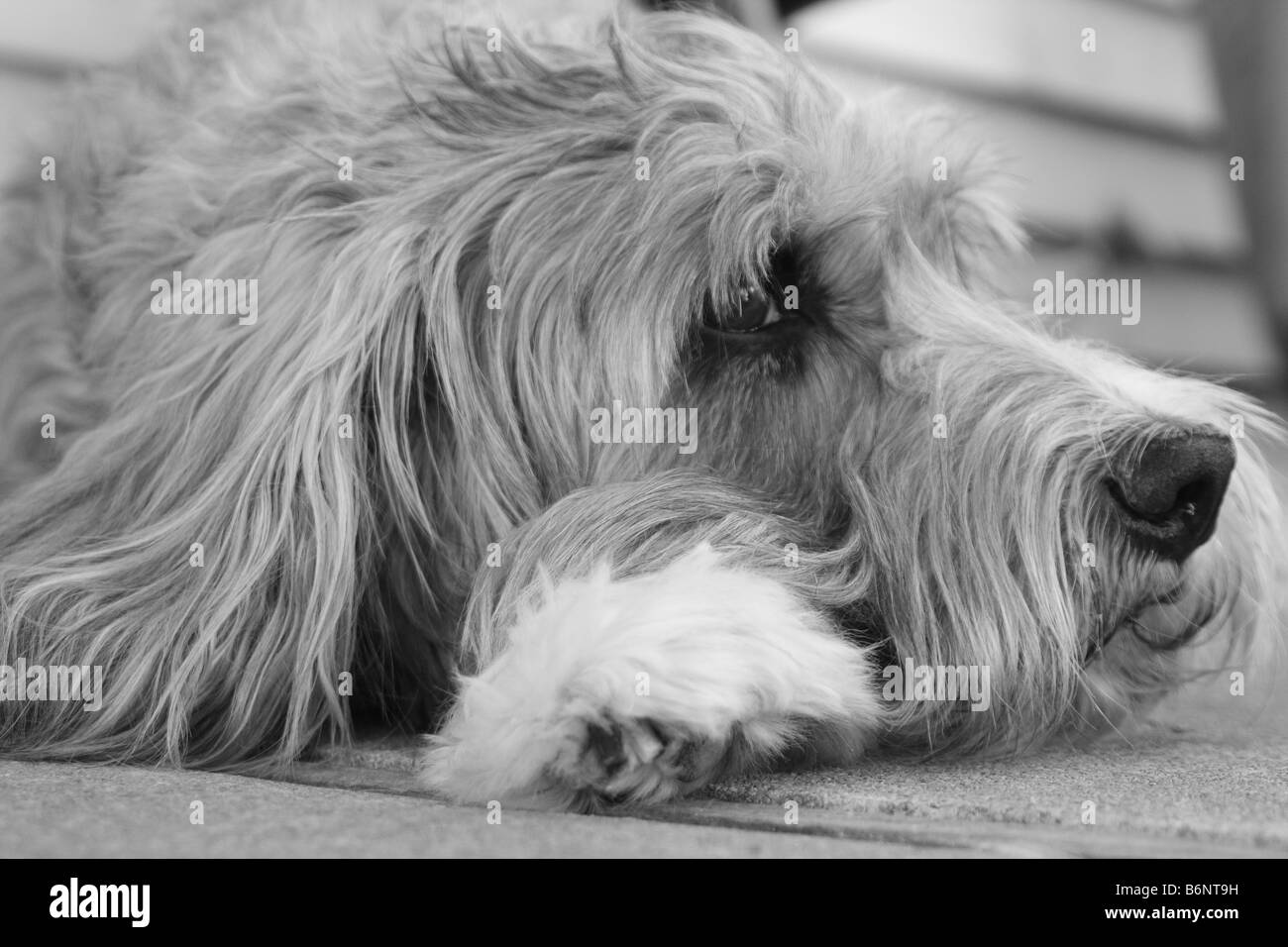 Poignant Photography