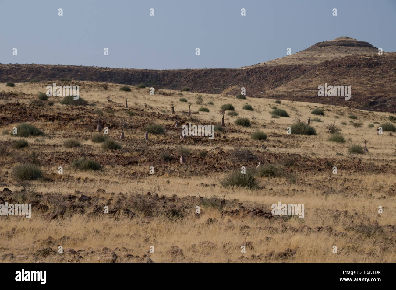 Palmwag, Lodge,Uniab River, NorthWest Damarland,Namibia Stock Photo - Alamy