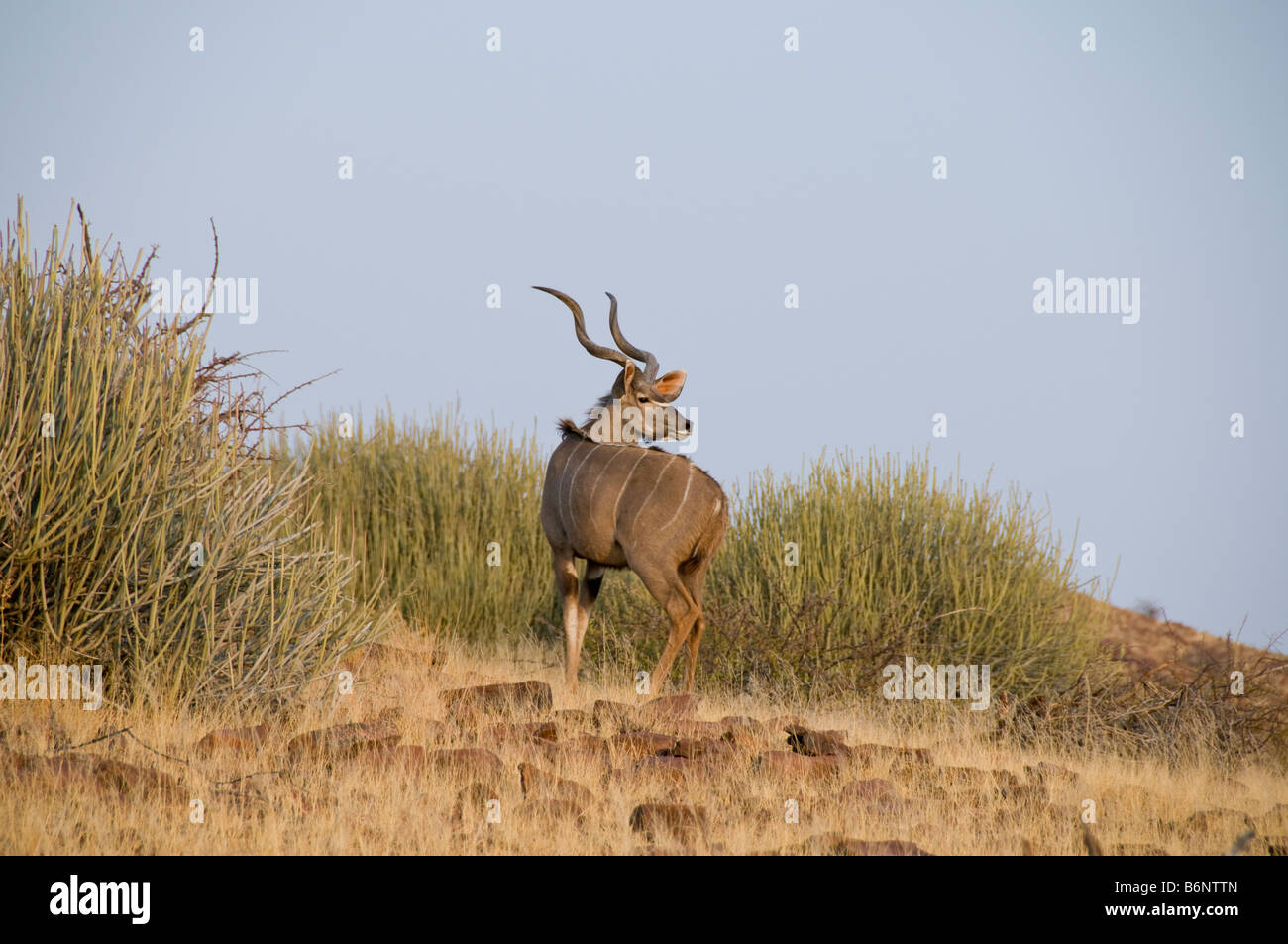 Palmwag lodge hi-res stock photography and images - Alamy