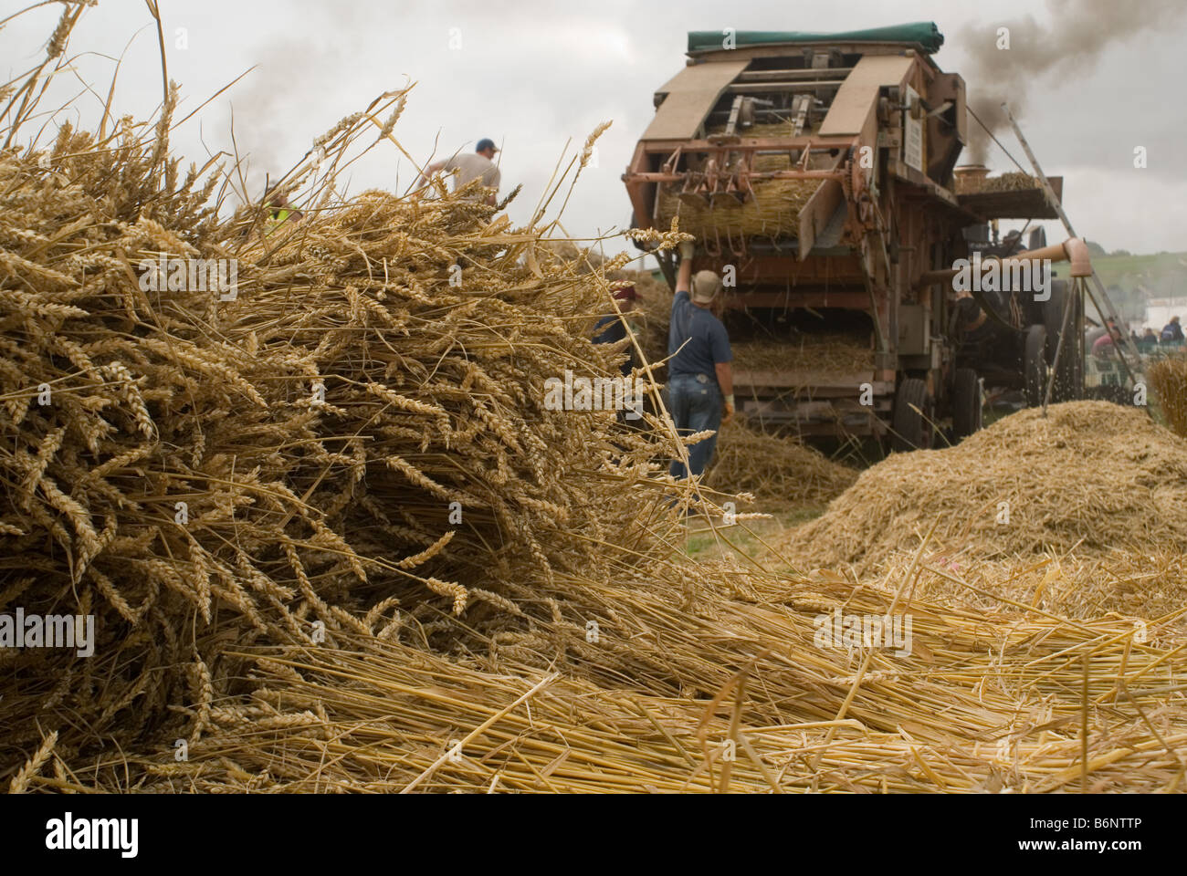 Steam threshing in colour Stock Photo - Alamy