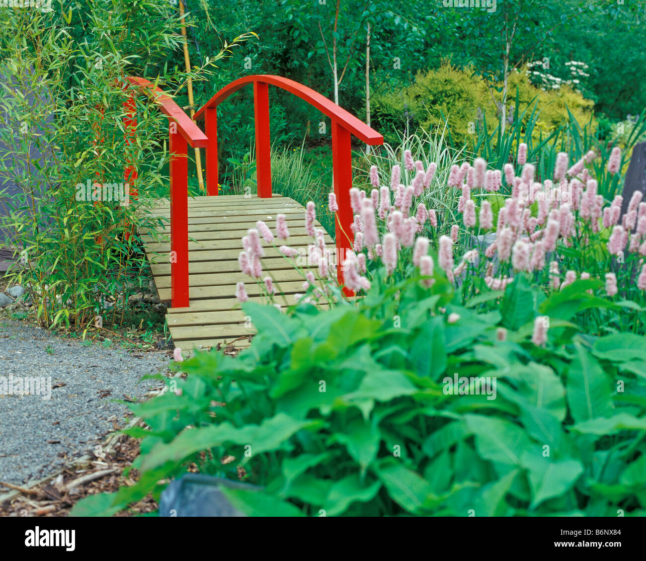 WOODEN RED BRIDGE IN JAPANESE GARDEN Stock Photo - Alamy