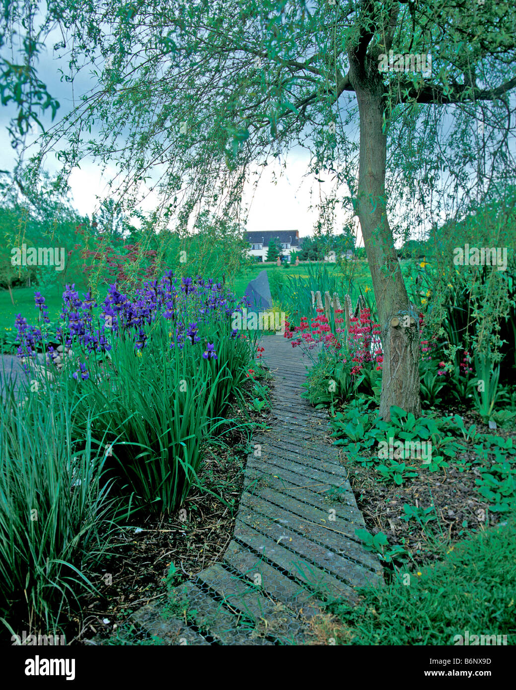 Japanese willow hi-res stock photography and images - Alamy