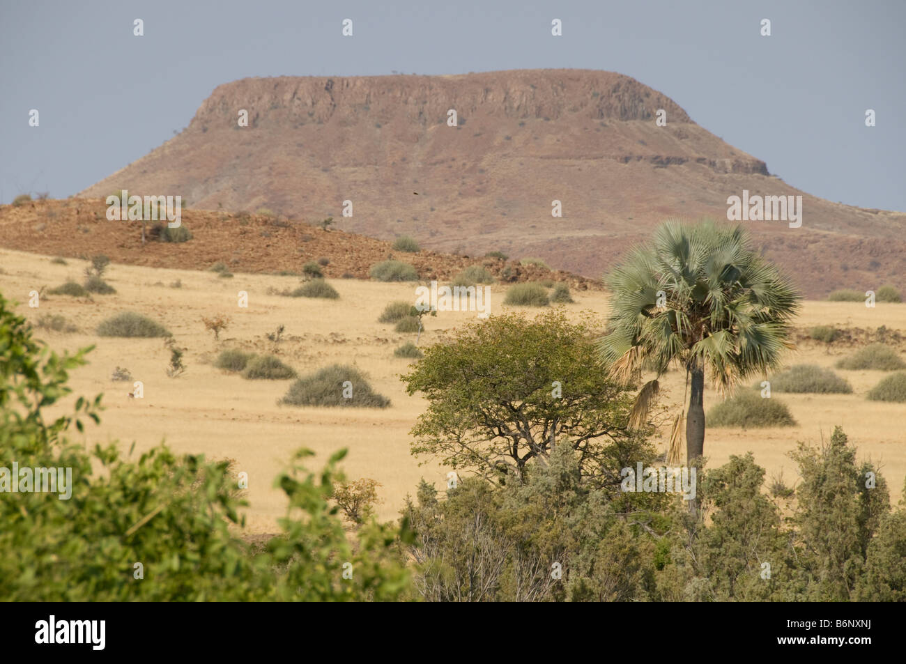 Palmwag, Lodge,Uniab River, NorthWest Damarland,Namibia Stock Photo - Alamy