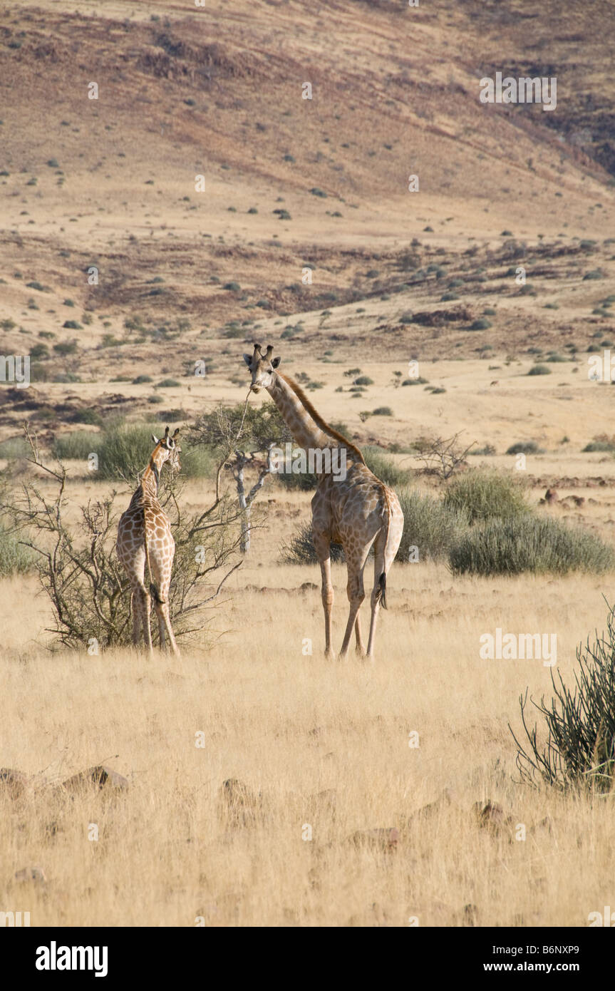Uniab river hi-res stock photography and images - Alamy