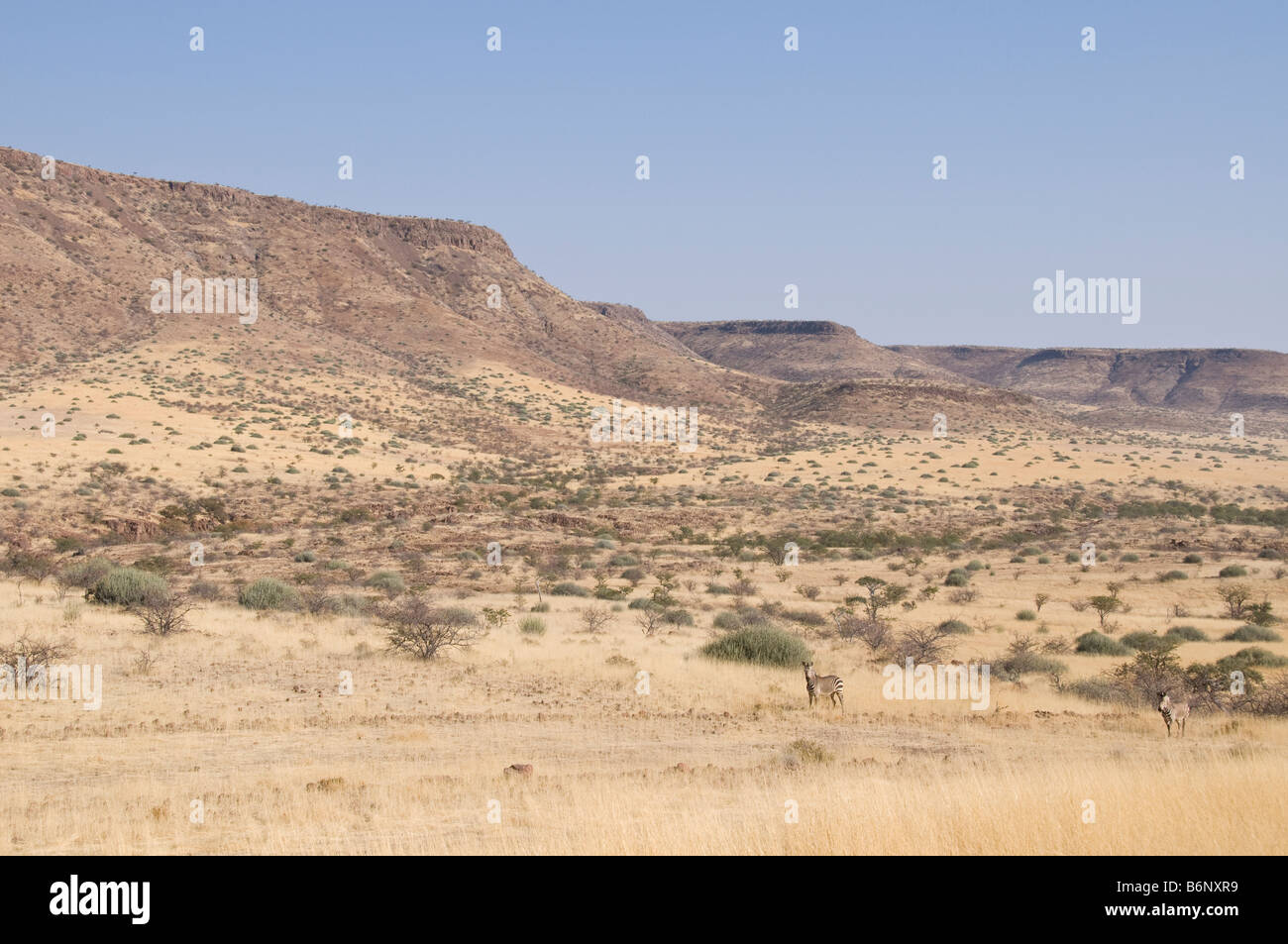 Palmwag, Lodge,Uniab River, NorthWest Damarland,Namibia Stock Photo - Alamy