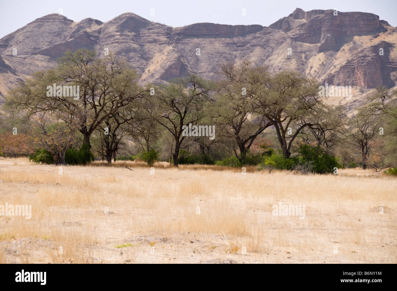 Sesfontein,Kunene,Kaokoland, North West Namibia, SW Africa Stock Photo ...