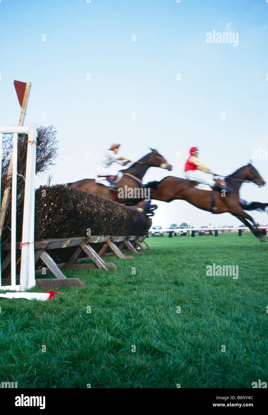 Horse jumping hedge hi-res stock photography and images - Alamy