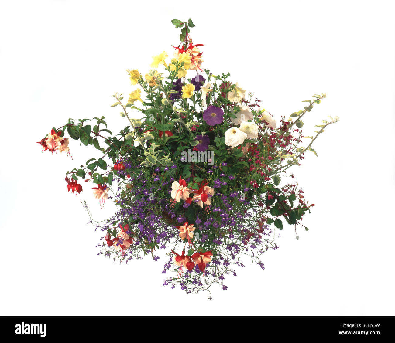 Hanging basket cut out hi-res stock photography and images - Alamy